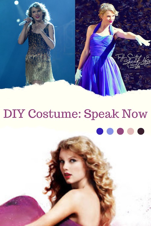 Taylor Swift Concert Outfit and Costume Ideas - Jen Ryland Reviews