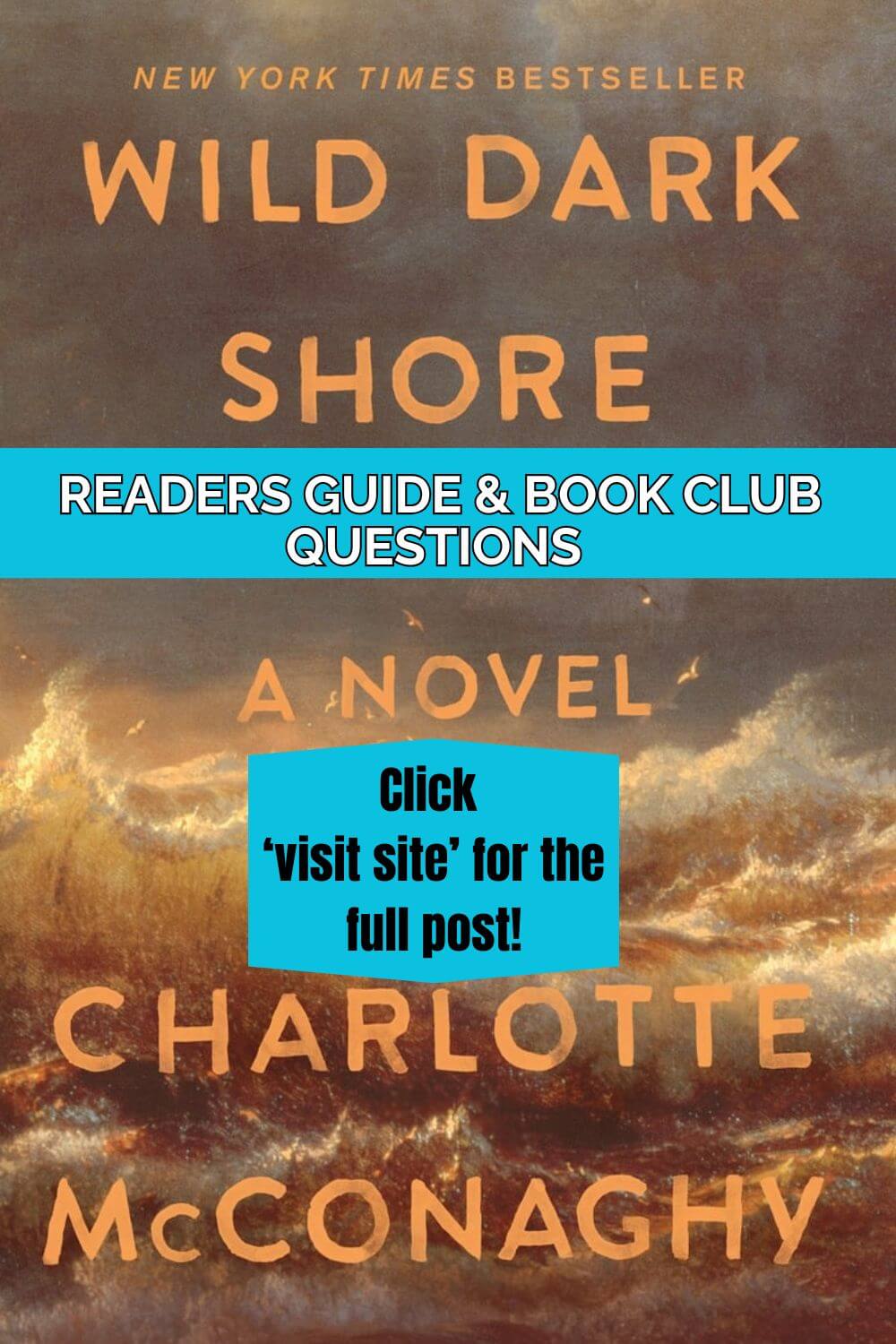 Spoilers and Book Club Questions for Wild Dark Shore - Jen Ryland Reviews